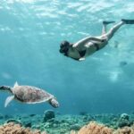From Gili Meno: Private Snorkeling with Turtle & Statue - A Deep Dive into the Snorkeling Experience