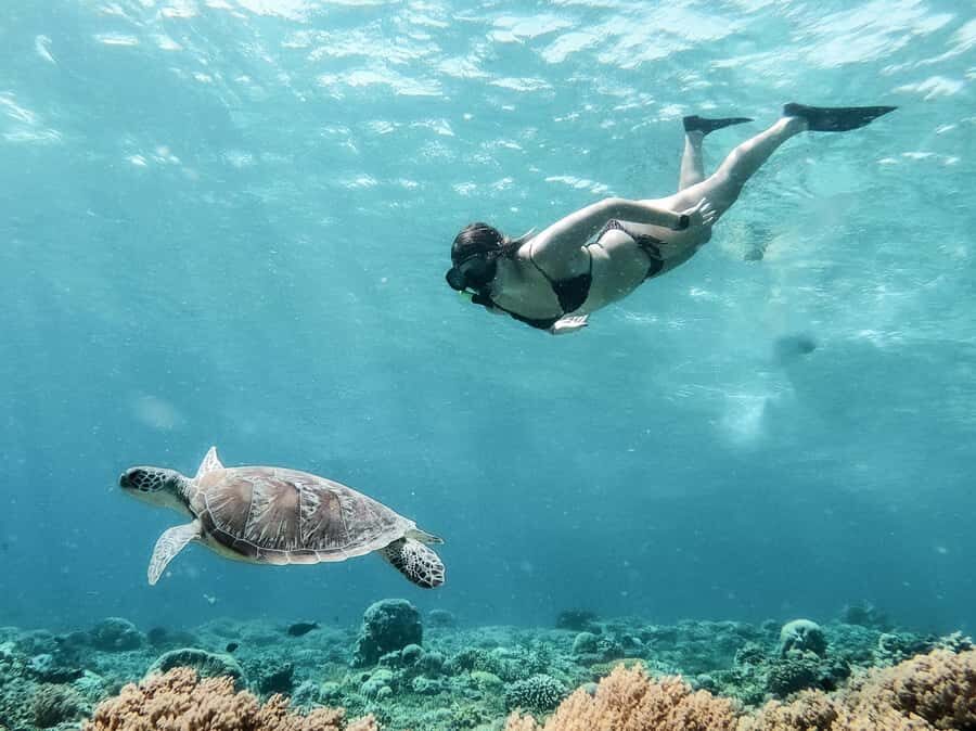 From Gili Meno: Private Snorkeling with Turtle & Statue - A Deep Dive into the Snorkeling Experience