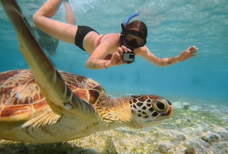 From Gili Trawangan: Gili Islands Snorkeling Boat Tour - Frequently Asked Questions