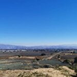 From Guadalajara: Tequila Tour: Tasting Experience & Lunch - Practical Considerations and Value