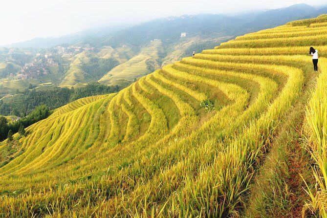 From Guilin/Yangshuo: Longji Rice Terraces and Ethnic Minority Village Day Tour - Practical Tips for Your Trip
