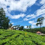 From Guwahati: Shillong Guided Day Tour - What Travelers Say