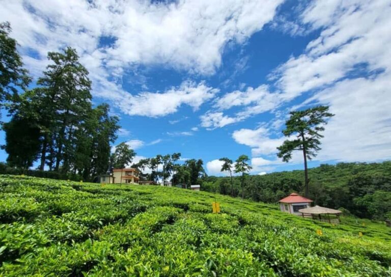 From Guwahati: Shillong Guided Day Tour - What Travelers Say