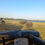 From Habarana: Minneriya National Park 4x4 Jeep Safari - The Itinerary Breakdown