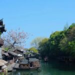 From Hangzhou: Wuzhen Water Town Tour with Riverside Essence - Practical Details & Value