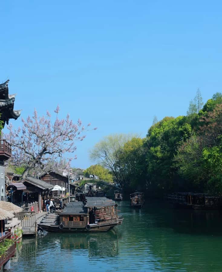 From Hangzhou: Wuzhen Water Town Tour with Riverside Essence - Practical Details & Value