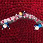 From Hanoi: Duong Lam, Son Dong & Van Phuc Silk Village Tour - The Guided Tour: Knowledge and Friendliness