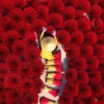 From Hanoi: Half-Day Tour to Incense Village & Conical Hat Craft - A Closer Look at the Tour Experience