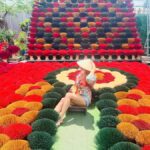 From Hanoi: Incense, Conical Hat & Lacquer Village Tour - A Detailed Look at the Tour Experience