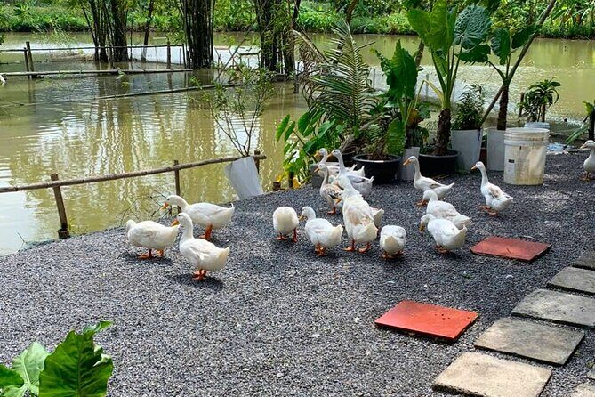 From Hanoi: Scenic Ninh Binh Motorbike Tour to Hidden Treasures - Frequently Asked Questions