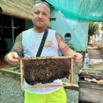 From HCM: Mekong Delta Floating Market 3days exit Phnom Penh - Transportation, Accommodation, and Overall Value