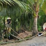 From HCMCMekong Delta Eco Tour: Non-Touristy & Small Group - Why This Tour Is Worth Considering