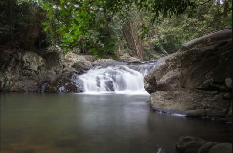 From Hua Hin: Pala U Waterfall and Huay Mongkol Temple Tour - A Deep Dive into the Experience