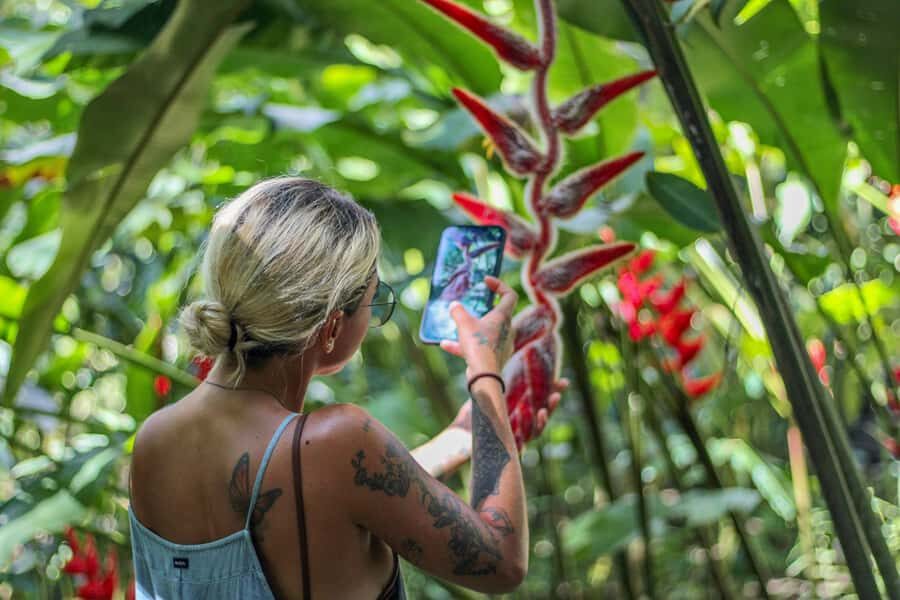 From Huatulco: Exotic garden on an ecotourism ranch and a visit to a viewpoint - A Complete Look at the Tour Experience