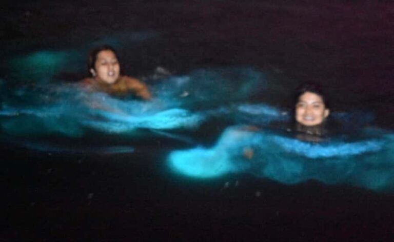 From Huatulco: Magical Bioluminescence Experience - Practical Considerations