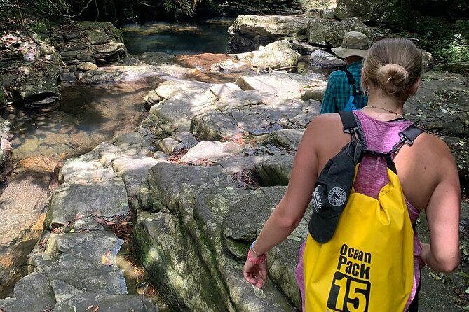 From Hue : Discover the Wonders of Bach Ma National Park - The Experience: What Travelers Say