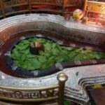 From Indore:- Full Day Omkareshwar Jyotirlinga Guided Tour - Practical Tips for the Tour