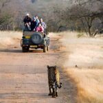 From Jaipur: 2 Days Private Tour of Ranthanbore Tigers Safari - Authentic Reviews and Honest Feedback