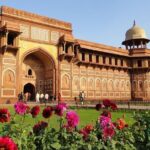 From Jaipur Private Taj Mahal & Agra Fort Tour with Delhi Drop - What Travelers Say: Real Insights from the Reviews