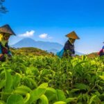 From Jakarta: Safari Park, Tea Plantation & Jaksa Waterfall - The Waterfall and Final Refresh