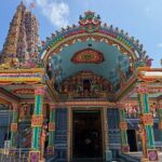 From Kandy: Minneriya Wildlife Safari and Heritage Day Tour - Exploring the Itinerary: What to Expect