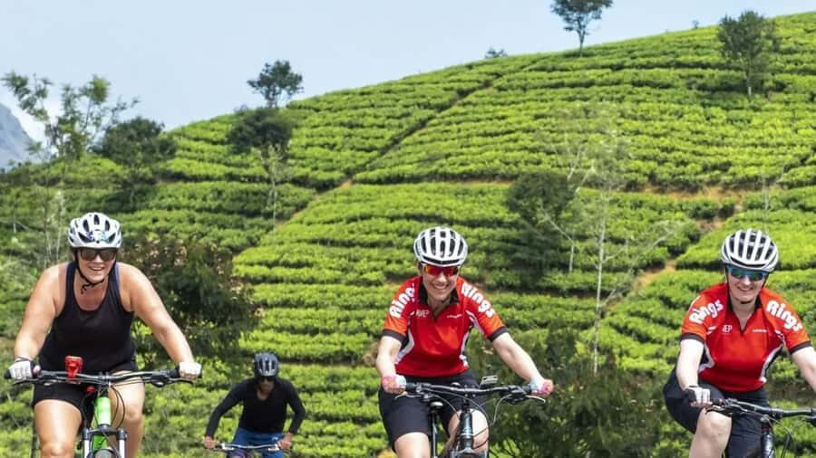 From Kandy: Mountain Biking Adventure to Nuwara Eliya - The Experience Provider: Z R I Adventures