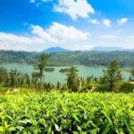 From Kandy: Nuwara Eliya Day Tours (Ambewela Railway Drop) - The Value of This Tour