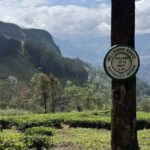 From Kandy: Pekoe Trail Stage 3 Guided Hike - What to Expect: The Day Unfolds