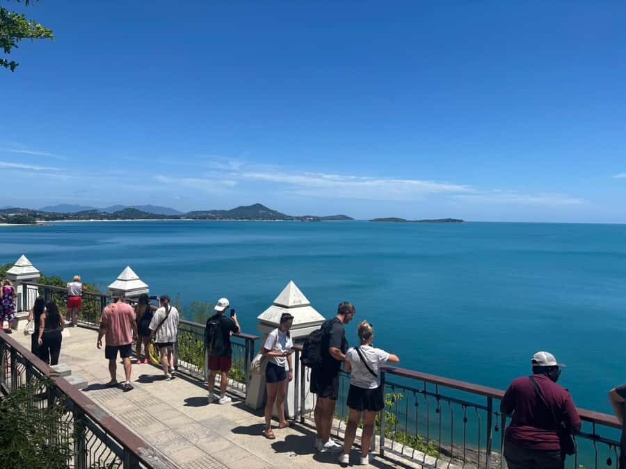 From Koh Samui: City Highlights Tour - Temples & Views - Who Should Consider This Tour?