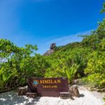 From Krabi: Similan Islands Day Trip by Speedboat - Authentic Experiences and Practical Considerations