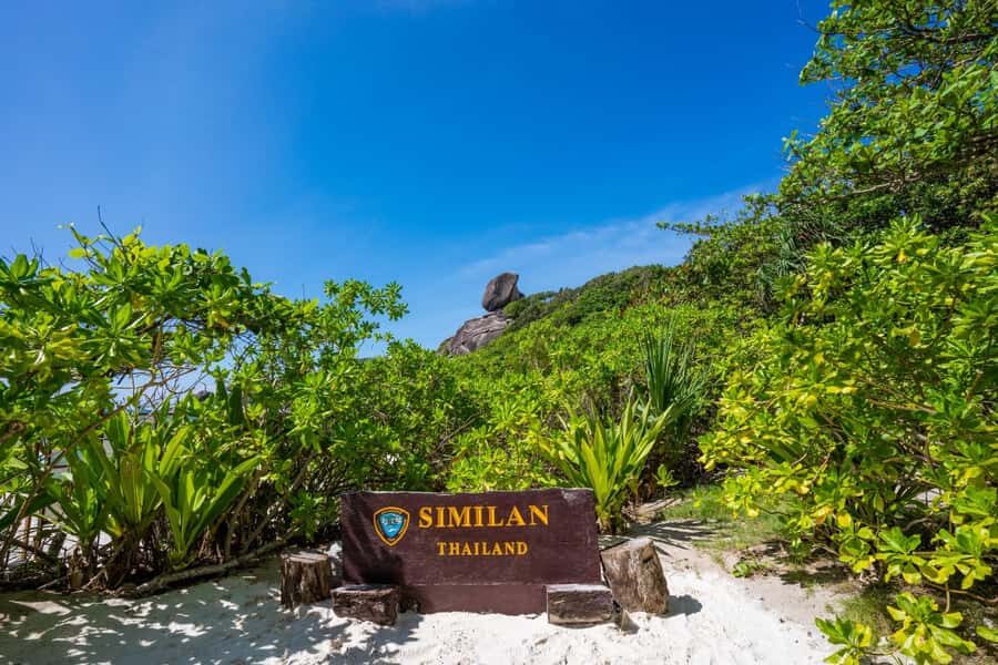 From Krabi: Similan Islands Day Trip by Speedboat - Authentic Experiences and Practical Considerations