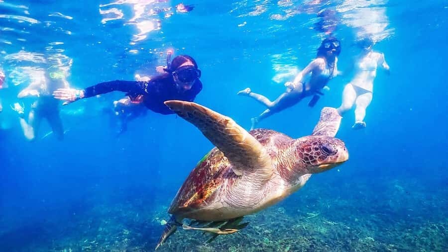 From Krabi: Surin Islands Snorkeling Tour w/ Meals - Exploring the Itinerary: What You Can Expect