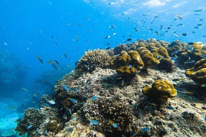 From Krabi to Phi Phi Islands Speedboat Day Tour - The Details: Itinerary and Logistics