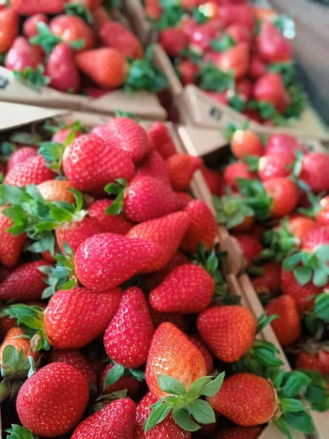 From Kuala Lumpur: Cameron Highlands Private or Join In Tour - The Value and Experience: What Travelers Say