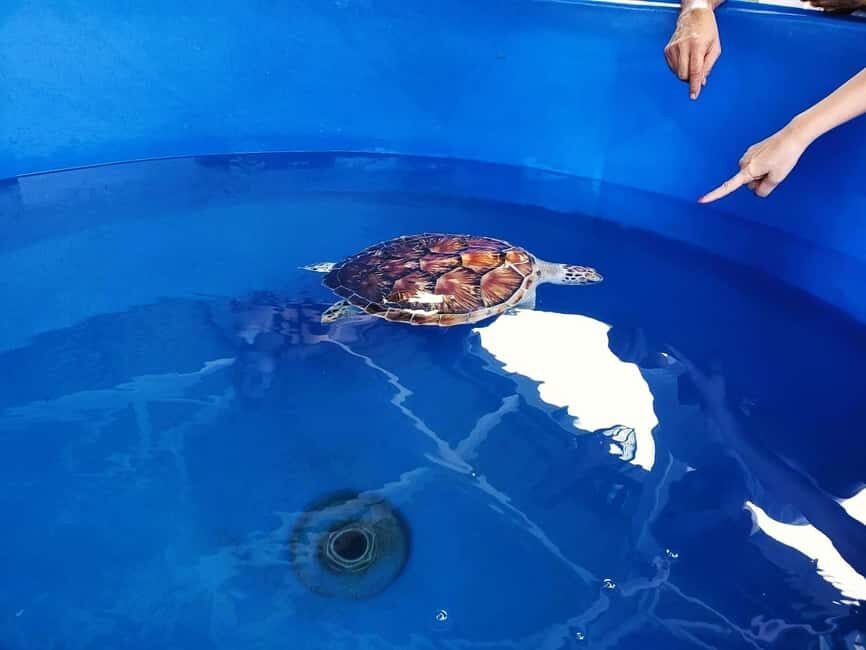 From Kuala Lumpur: Port Dickson Tour with Dragon Cruise - The Itinerary in Detail