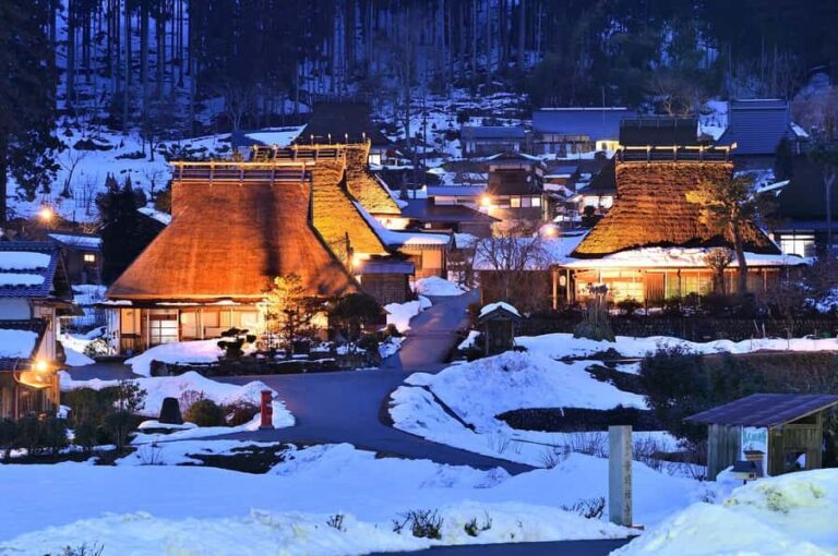 From Kyoto: Amanohashidate, Ine Bay & Miyama 1-Day Bus Tour - Practical Details and Travel Tips