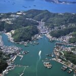 From Kyoto Island Exploration with Local Seafood Lunch - Who Should Consider This Tour?