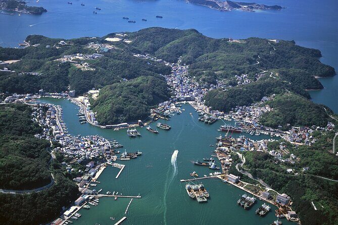 From Kyoto Island Exploration with Local Seafood Lunch - Who Should Consider This Tour?