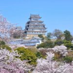 From Kyoto: Japanese Swordsmith & Himeji Castle Bus Tour - An In-Depth Look at What to Expect