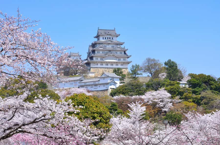 From Kyoto: Japanese Swordsmith & Himeji Castle Bus Tour - An In-Depth Look at What to Expect