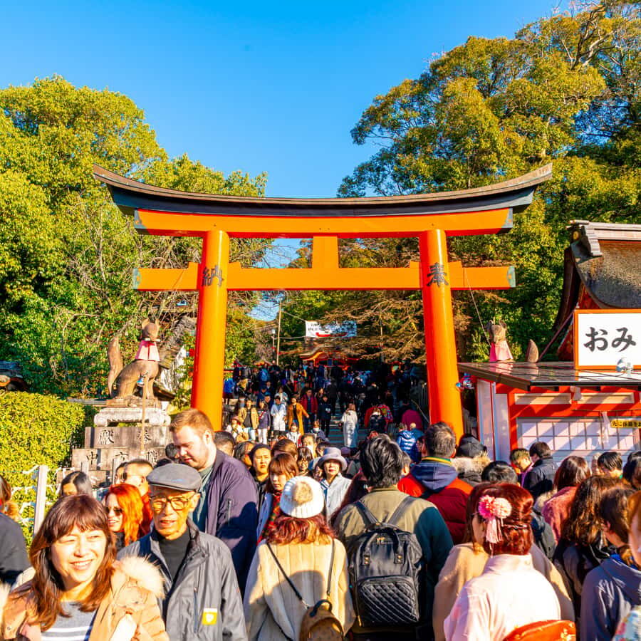 From Kyoto: Kyoto Highlights Private Tour with English Guide - Analyzing the Value