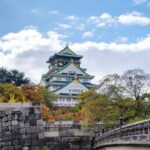 From Kyoto: Kyoto Private Customized Tour with English Guide - The Practicalities: What You Need to Know