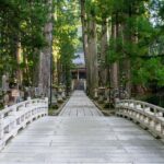 From Kyoto: Nara & Mt. Koya 1-Day Bus Tour - Nara: The Deer and the Great Buddha