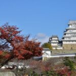 From Kyoto Premium Kobe Beef and Himeji Castle Bus Tour - Final Thoughts: Is It Right for You?