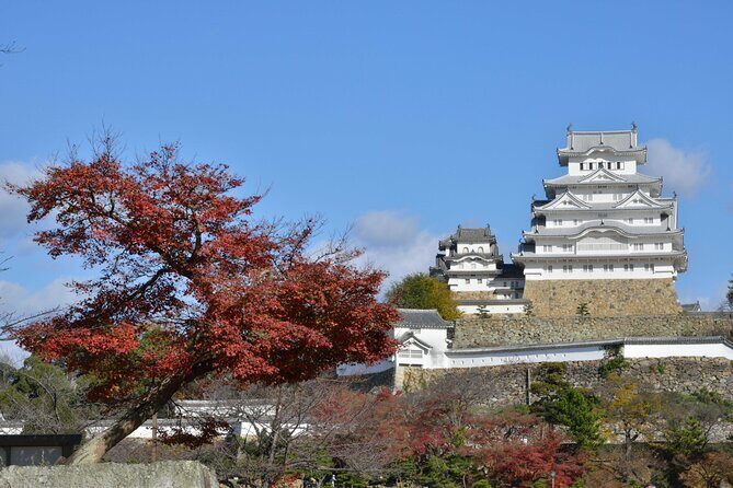 From Kyoto Premium Kobe Beef and Himeji Castle Bus Tour - Final Thoughts: Is It Right for You?