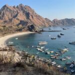 From Labuan Bajo: Komodo Dragons and Island Hop with All Fee - Analyzing the Value