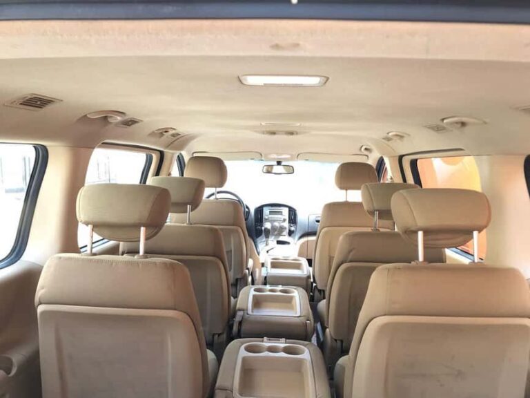 From Las Terrenas: Guided Tour of Los Haitises National Park - Overview of the Tour