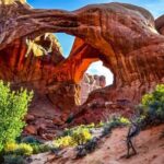 From Las Vegas: Red Rock Canyon Small Group Tour - Who Will Love This Tour?