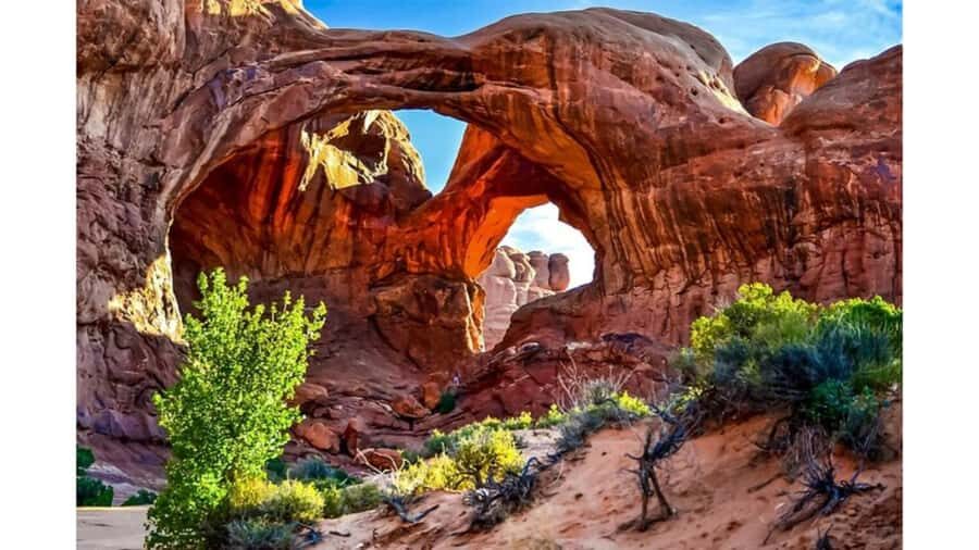 From Las Vegas: Red Rock Canyon Small Group Tour - Who Will Love This Tour?