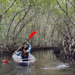 From Lembongan: Kayak/Paddleboard/Boat Mangrove Tour - Final Thoughts: Is It Worth It?